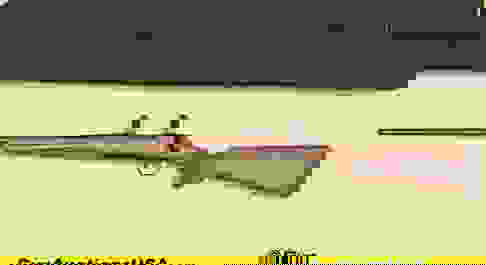 Browning X-bolt 7mm-08 Rem Bolt Action Rifle. Excellent. 23" Barrel ...