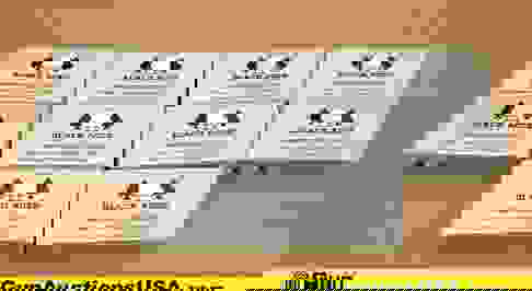 Black Aces 12 Ga. High Velocity Slug Ammo. 100 Rds. 1 Oz. 28 Gr, 2 3/4 ...