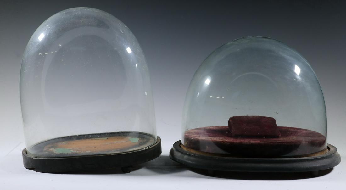 (2) Glass Domed Display Cases