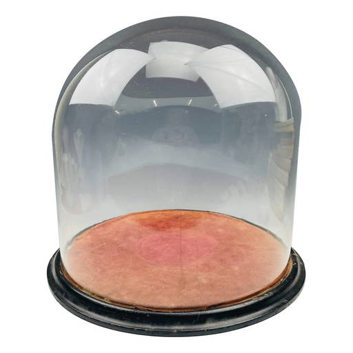 Victorian Era Large Cloche Glass Dome Wood Base (#0162) on Nov 16, 2022 ...