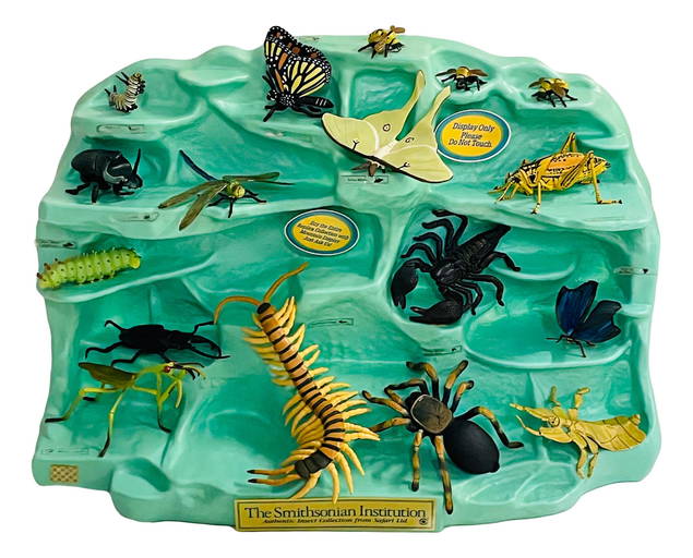 Smithsonian LARGE Insect Bug Collection Display (#0474) on Nov 16, 2022 ...