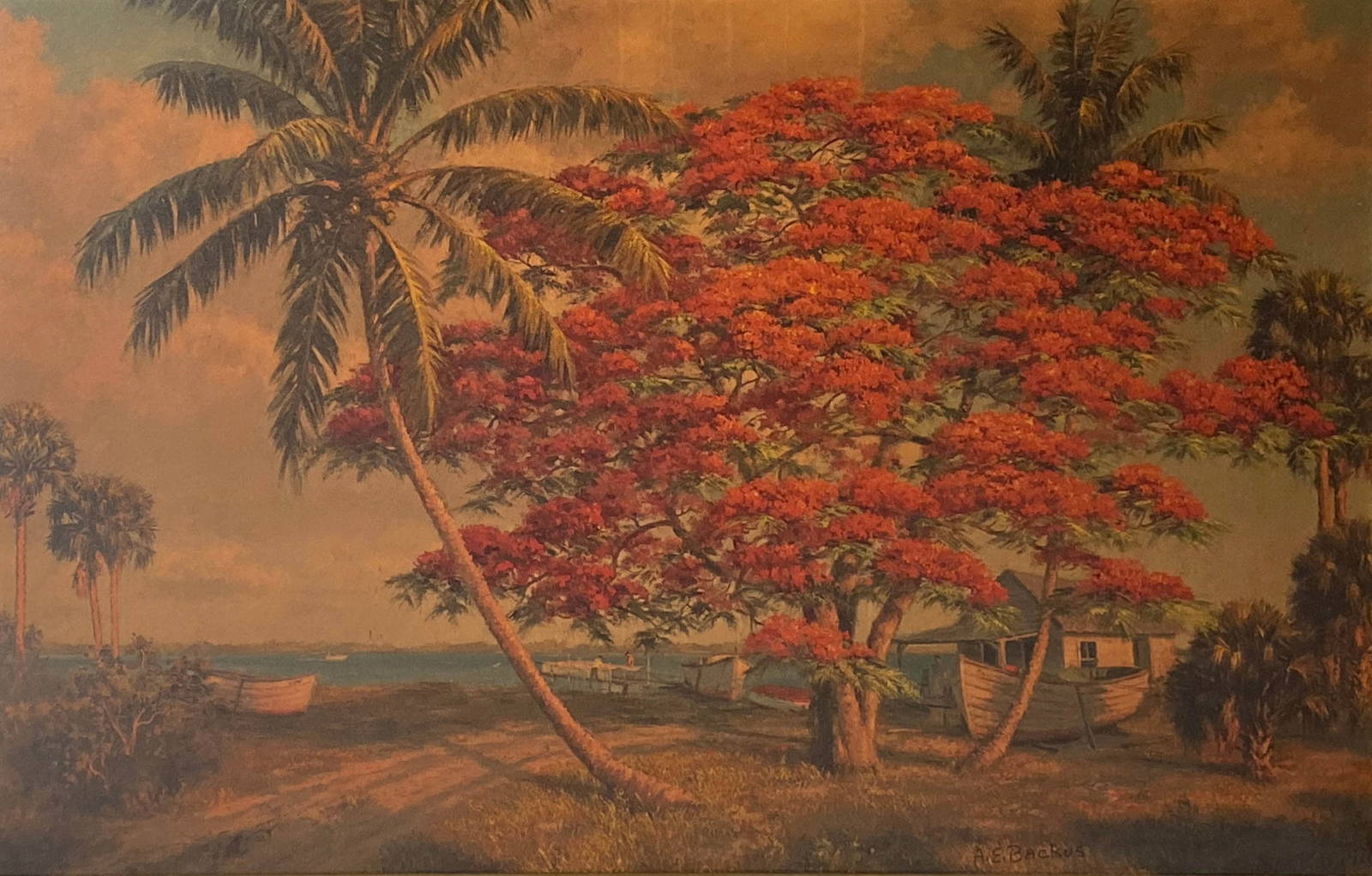 Albert Backus Highwaymen Red Royal Poinciana Print Auction
