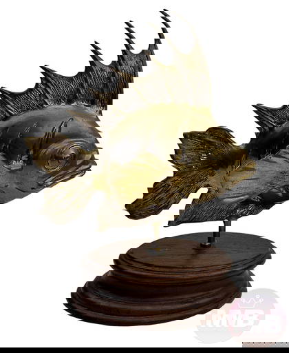 Mid Century Modern Brass Tropical Fish Sculpture