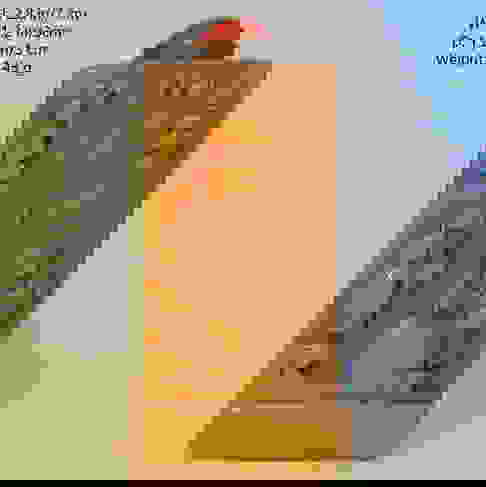 Chinese Antique Shou Shan Stone Square Snuff Bottle Auction