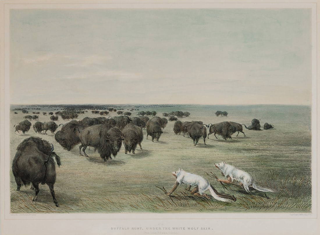 George Catlin, "buffalo Hunt, Under The White Wolf Skin" Auction