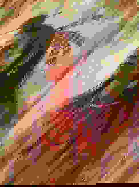 James Ayers, "blackfoot Leader" Auction