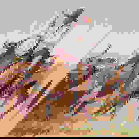 Teal Blake, "cowboy Loop" Auction