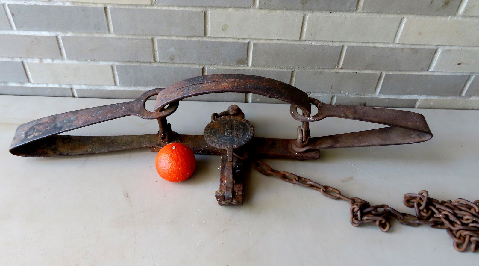Vintage Newhouse No. 5 Iron Bear Trap, From The Oneida