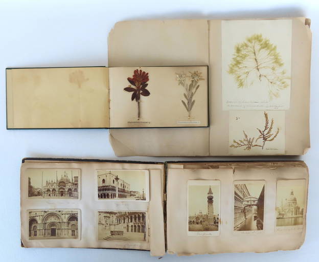Three albums of pressed flowers & CDV's, 19th century, one historical ...