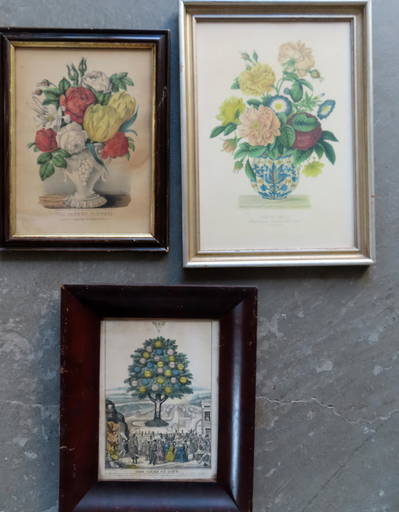 Three Lithographs Including: A Hand Colored Lithograph Titled "the Tree ...
