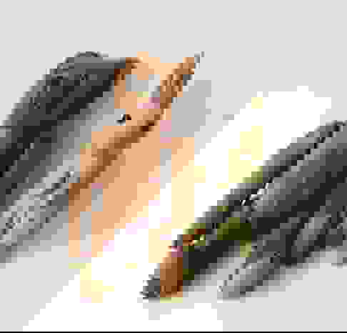 Two Early Stuffed Animals, Both Circa 1930 Including: A Jointed Steiff ...