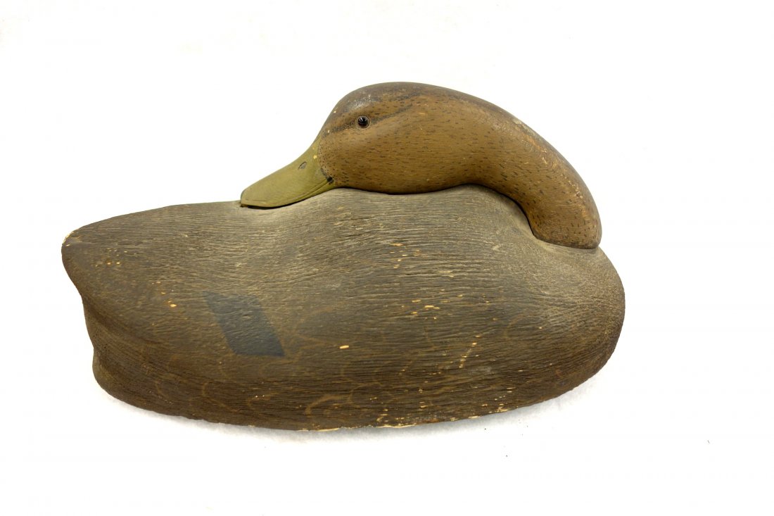 Sleeping black duck balsa wood decoy with glass eyes