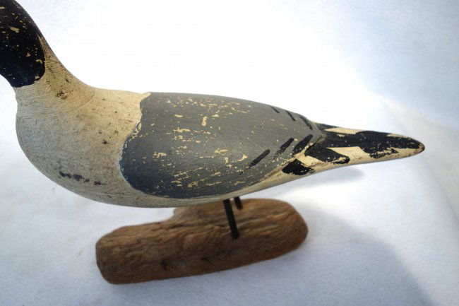 Outstanding seagull confidence decoy with glass eyes, : Lot 64