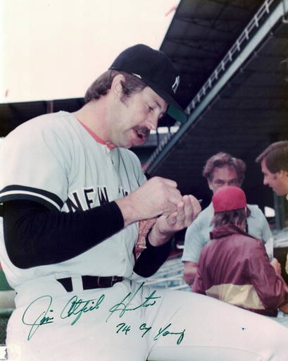 Pitcher Catfish Hunter Photo