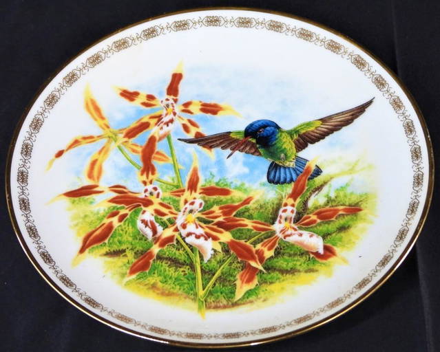Pearl Coronet Hummingbird The Jeweled Hummingbirds Plate Collection ...