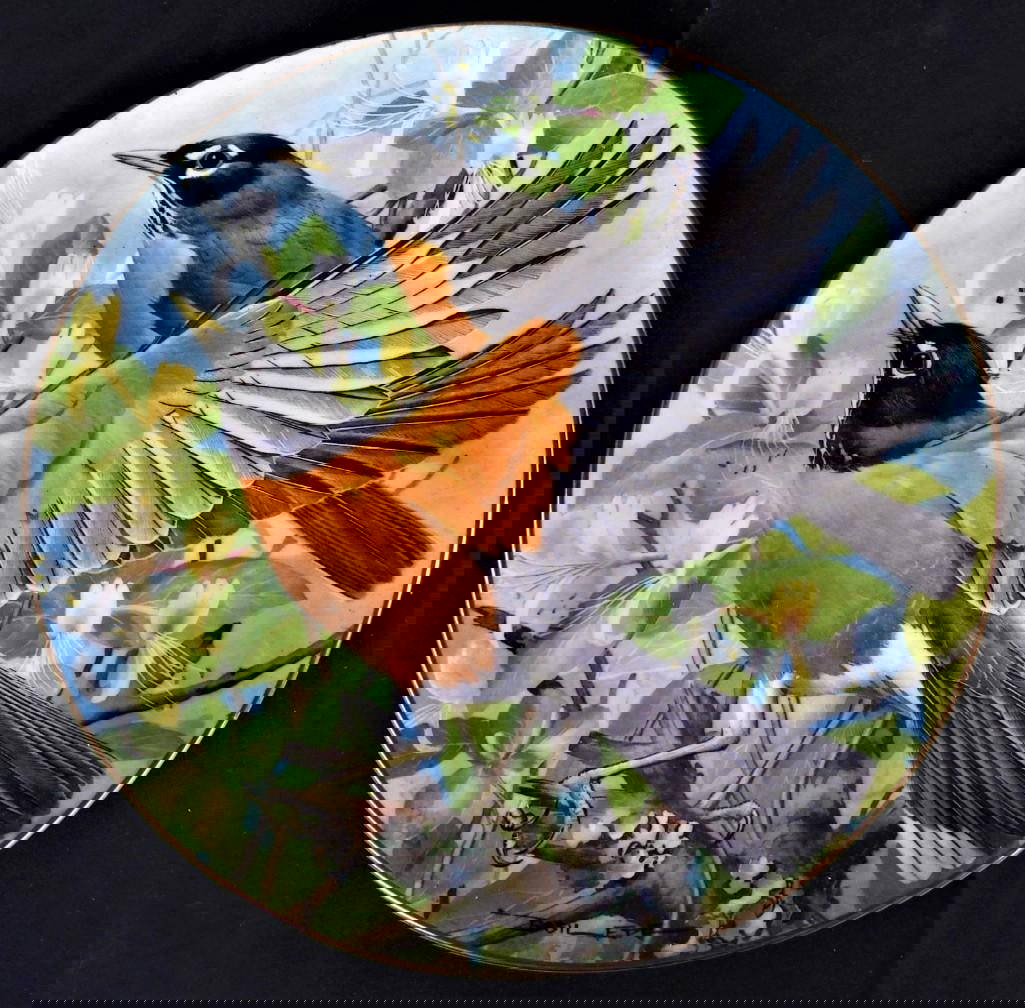 American Robin Plate 1984 Fp Japan Limited First Edition Auction