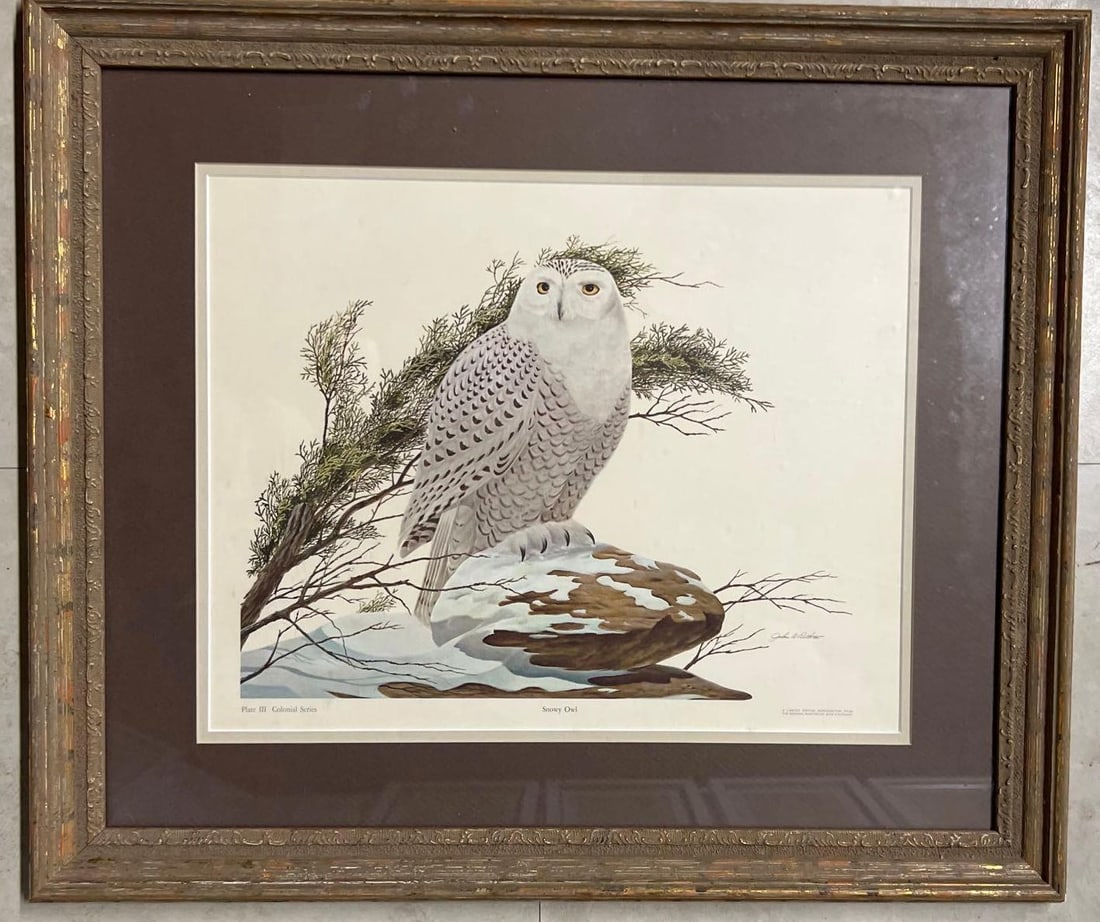 Framed Print From The Original Painting By John Ruthven (1924 2020)