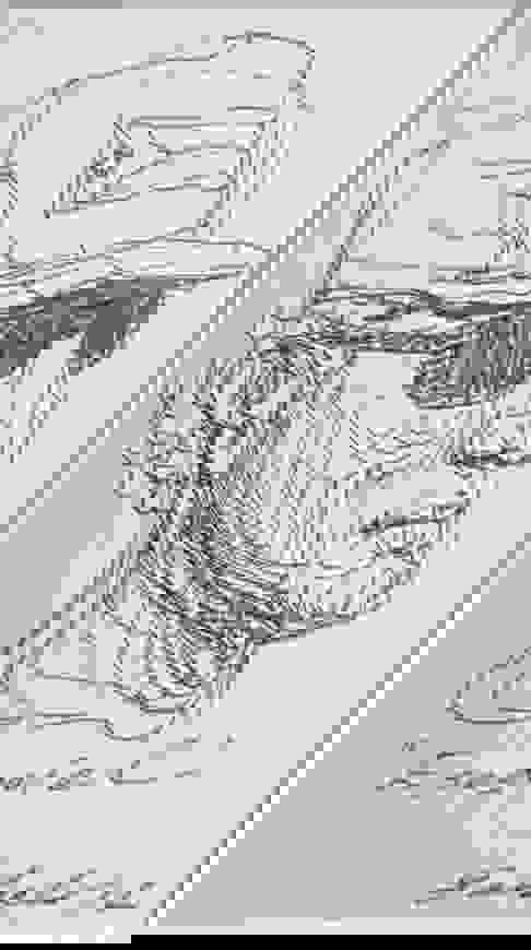 Roberto Fabelo, Cuba (born 1951). Pen And Ink Portrait Drawings On ...