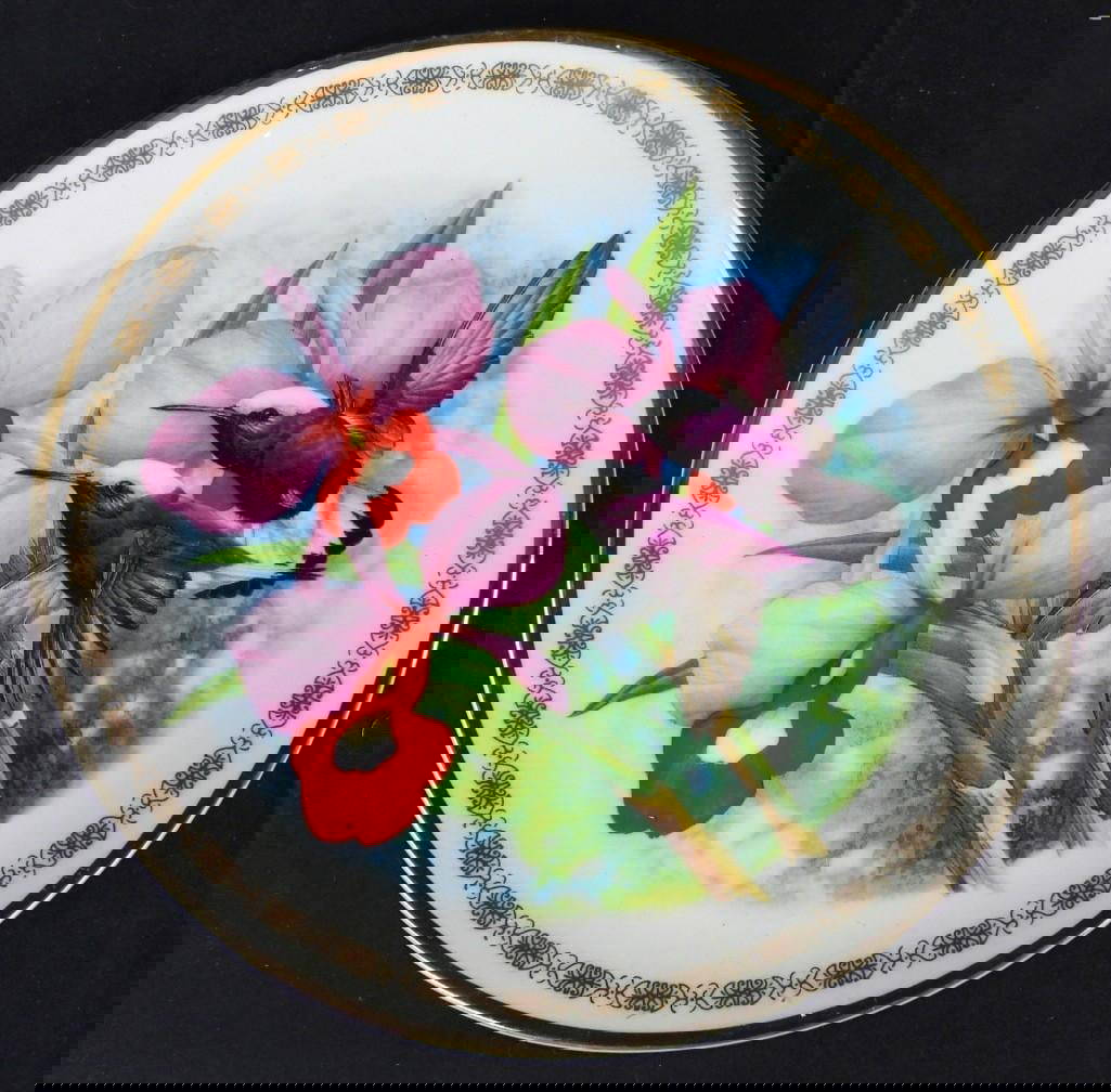 Pearl Coronet Hummingbird The Jeweled Hummingbirds Plate Collection ...