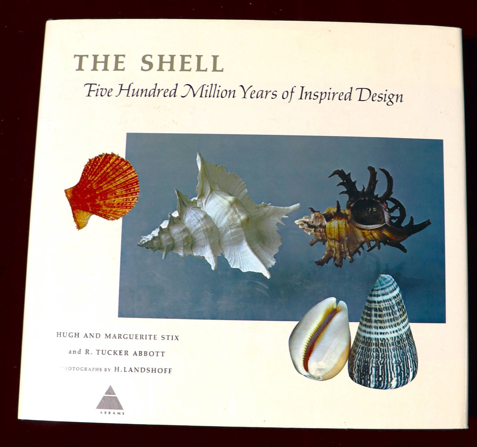 The Shell: Five Hundred Million Years Of Inspired Design Hardcover 1988 ...