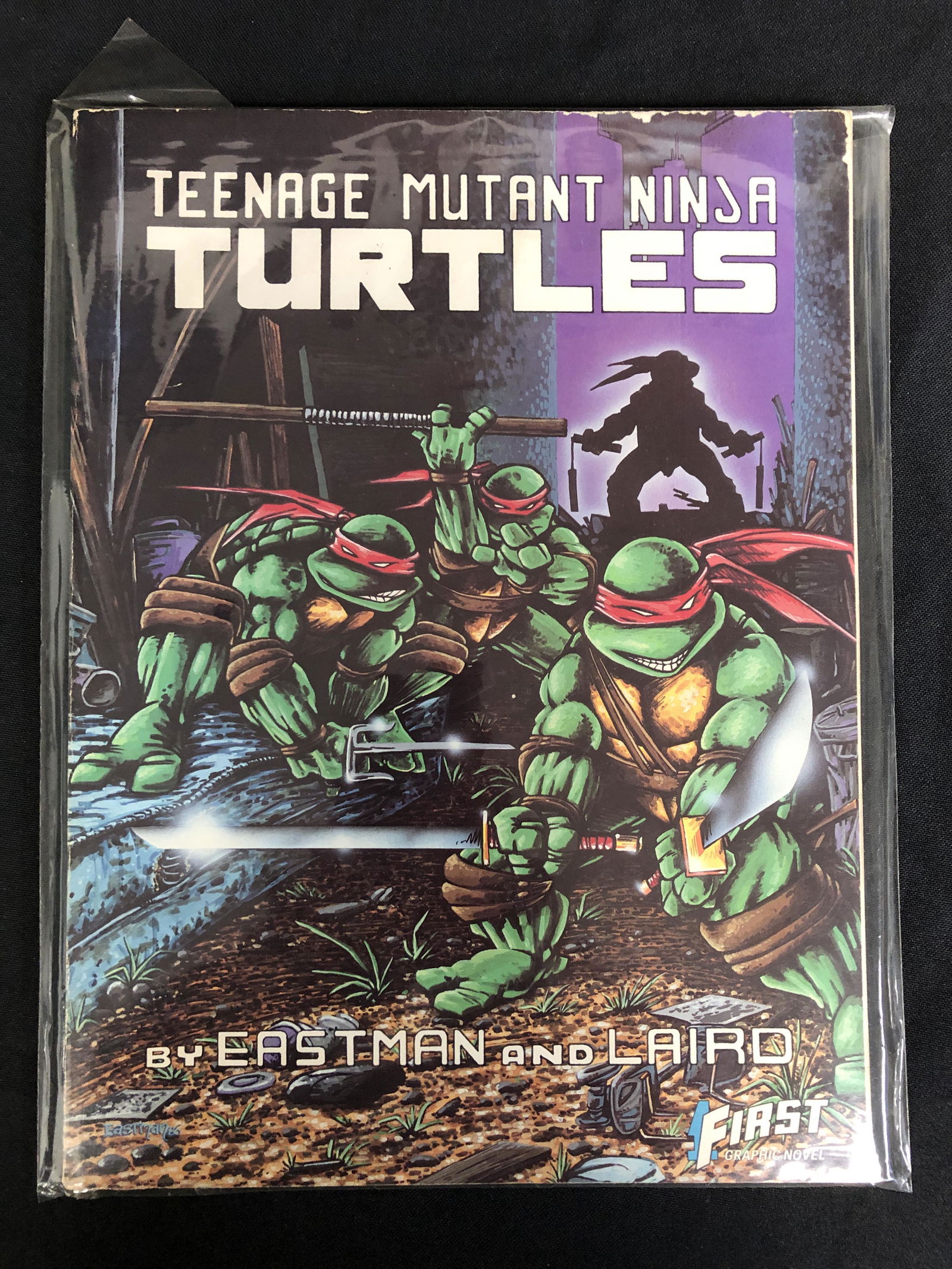 Eastman And Laird Teenage Mutant Ninja Turtles First Gr