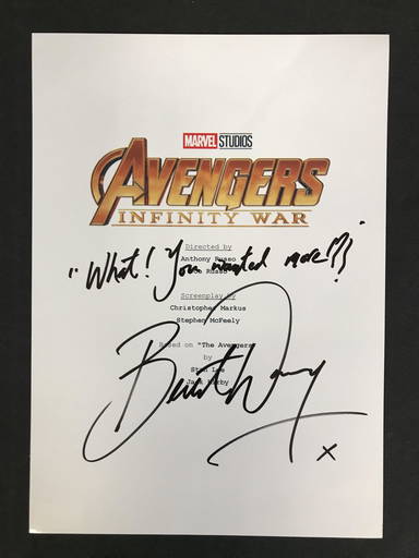 Avengers Infinity War Cast Signed Script Cover (ra Coa)