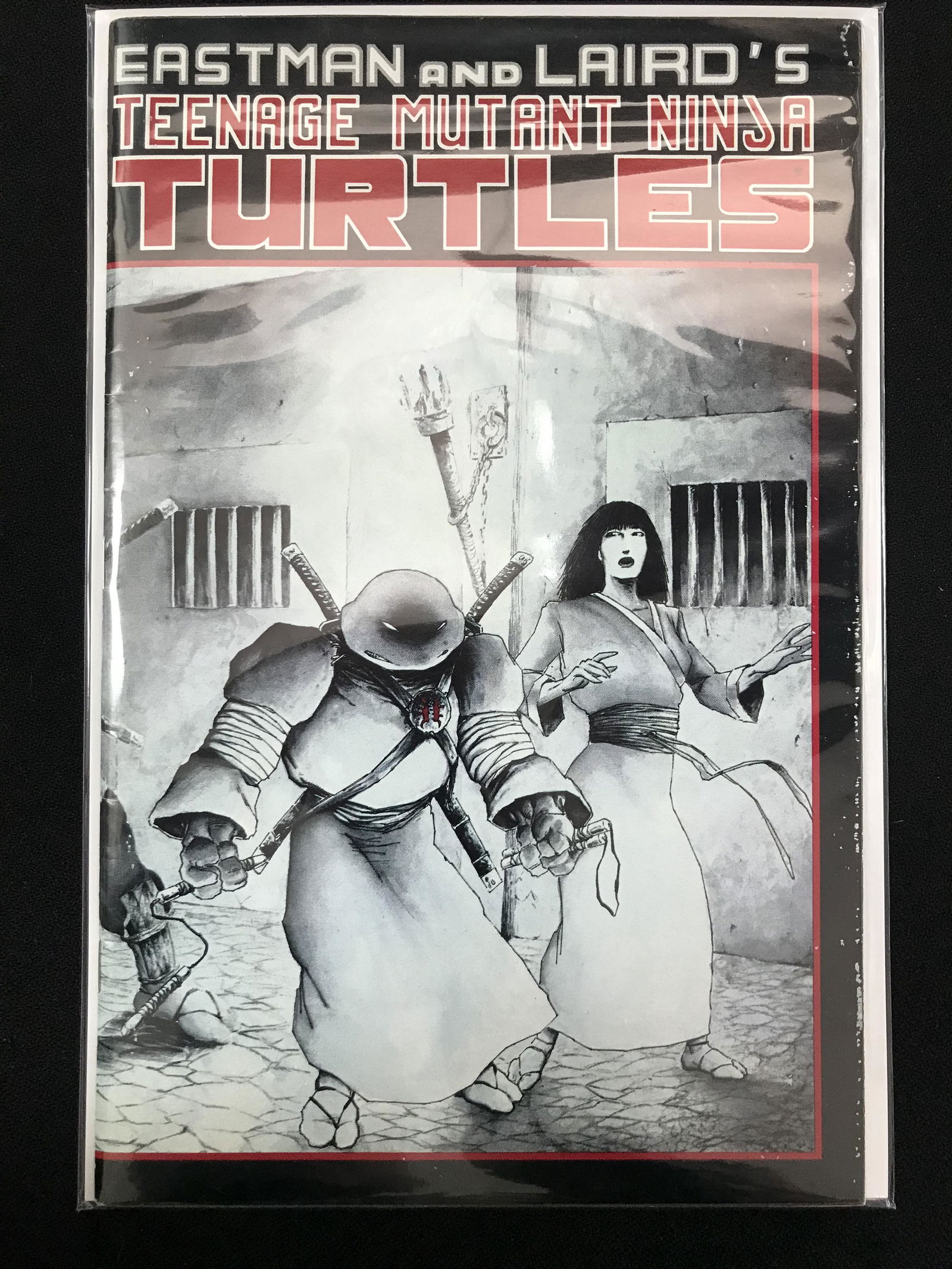 Eastman And Laird's Teenage Mutant Ninja Turtles Comic