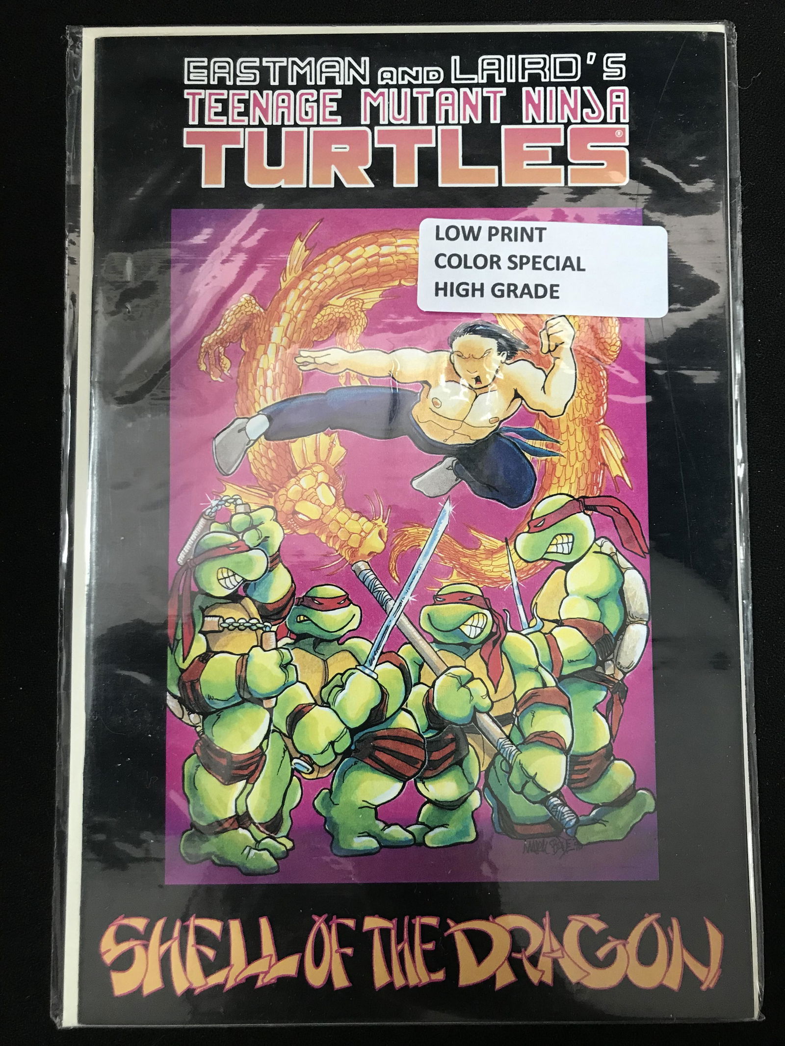 Eastman And Laird's Teenage Mutant Ninja Turtles Comic Low Print Color ...