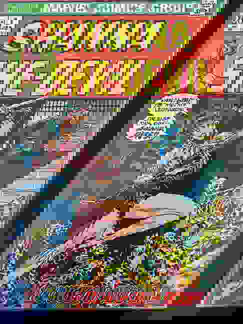 Marvel Comics Shanna The She Devil No.2 Auction