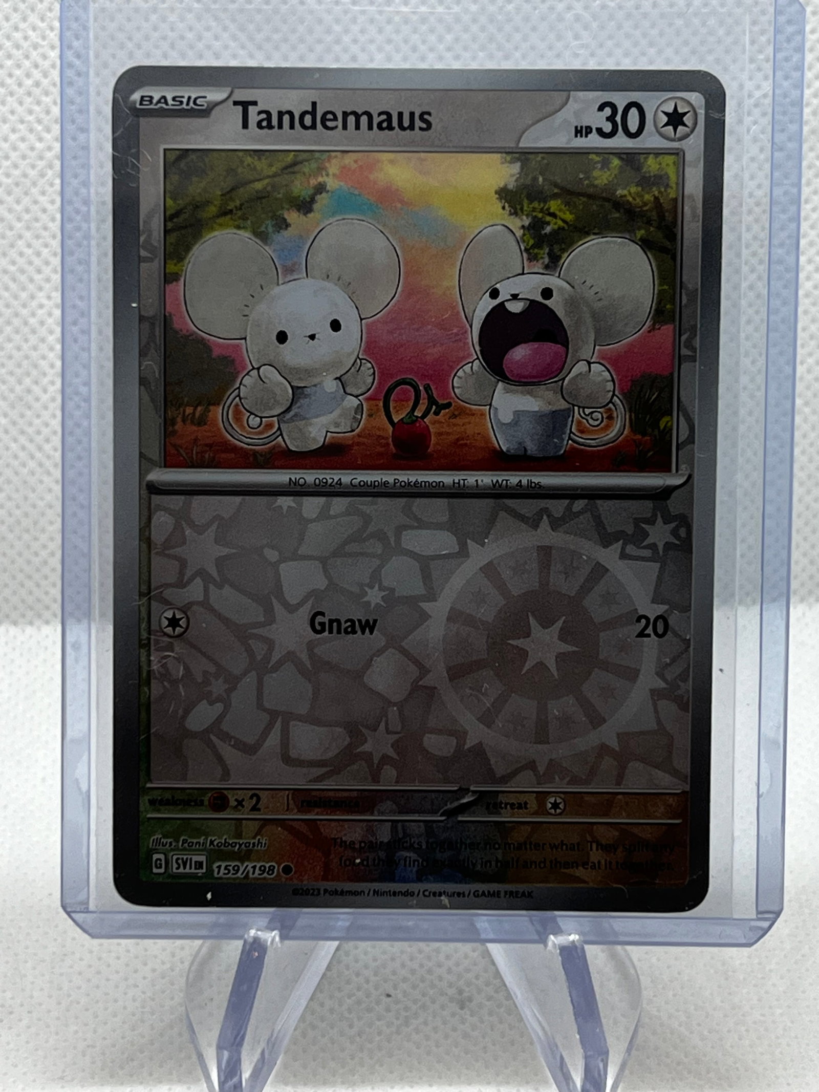 Pokemon Tandemaus Lost Origin