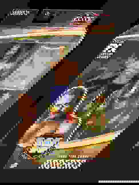 Wwe Elite Collection Jake The Snake Roberts Action Figure Auction