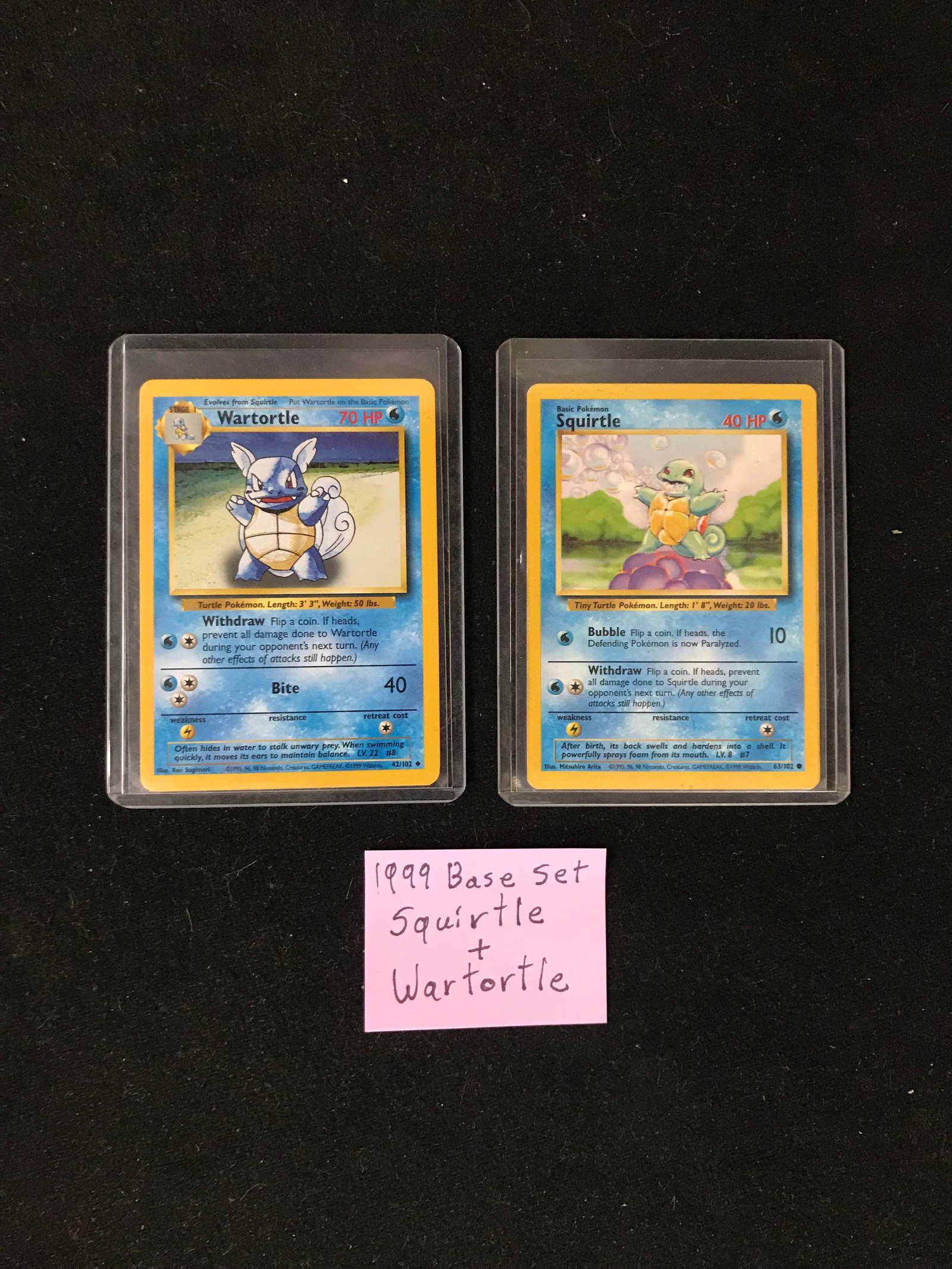 1999 Pokemon Base Set Squirtle And Wartortle Auction