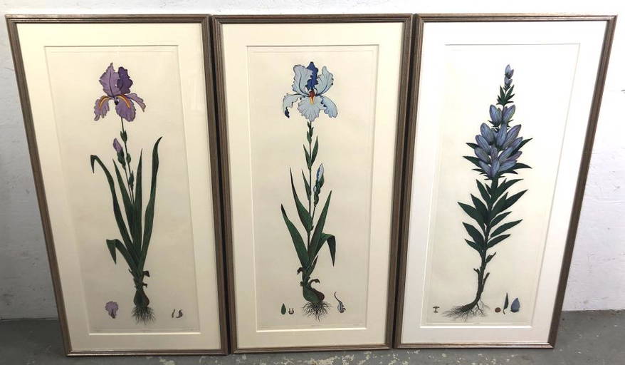 Set Of 3 Dan Mitra Limited Edition Lithographs