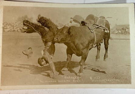 Coors "bull Rider" Rodeo Cowboy Bar Mirror: