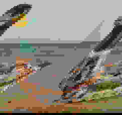 Tim Lewis Folk Art Carving Auction