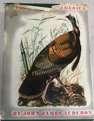 Audubon The Birds Of America Book