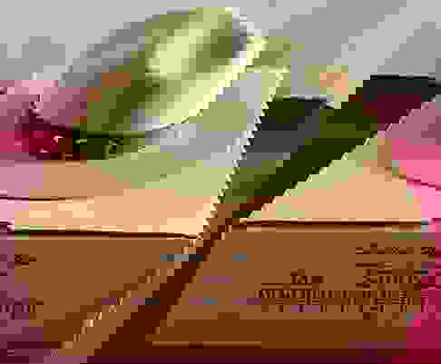 1920's Stetson Usnps / U.s. National Park Service Hat In Original Box ...