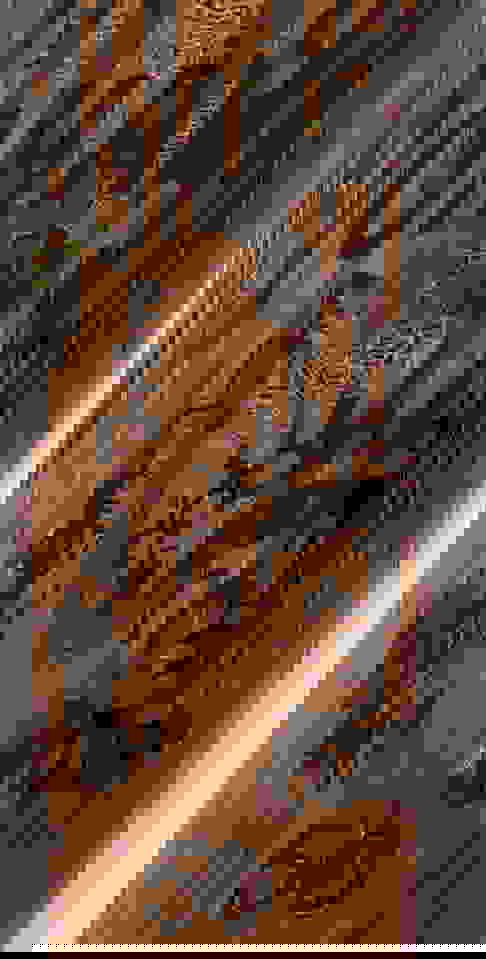 Rare Antique "mohawk" Baseball Bat W Indian Chief Bust Mark Auction