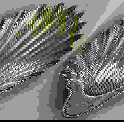 18th C. Georgian Silver Shell Shaped Butter Dish W/ Conch Feet - 3.98 ...