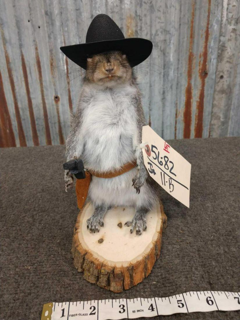 Full Body Mount Sheriff Squirrel - Jun 06, 2020 | Circle M Auctions in IA