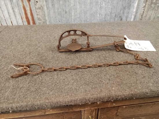 Rare Newhouse #81 1/2 Single Long Spring Animal Trap