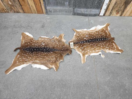 2 Axis Deer Soft Tanned Skins