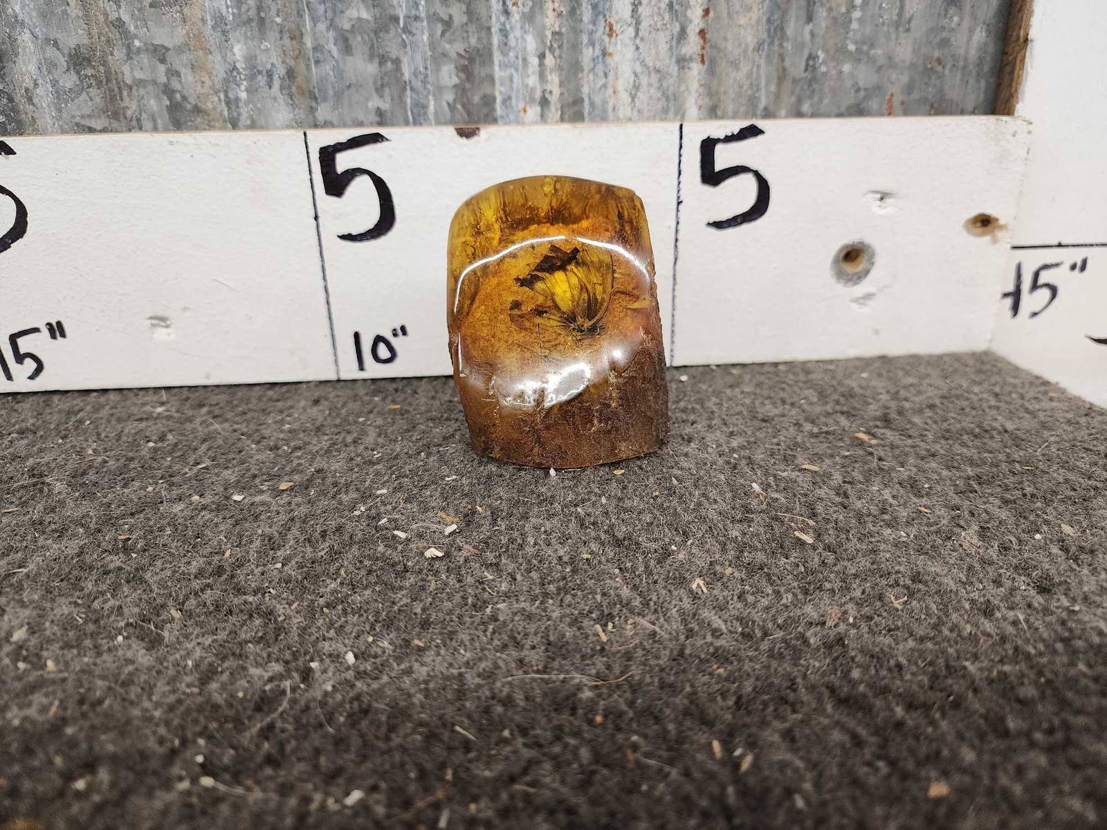 Depicted Prehistoric Butterfly In Amber (#0125) on Mar 16, 2023 ...