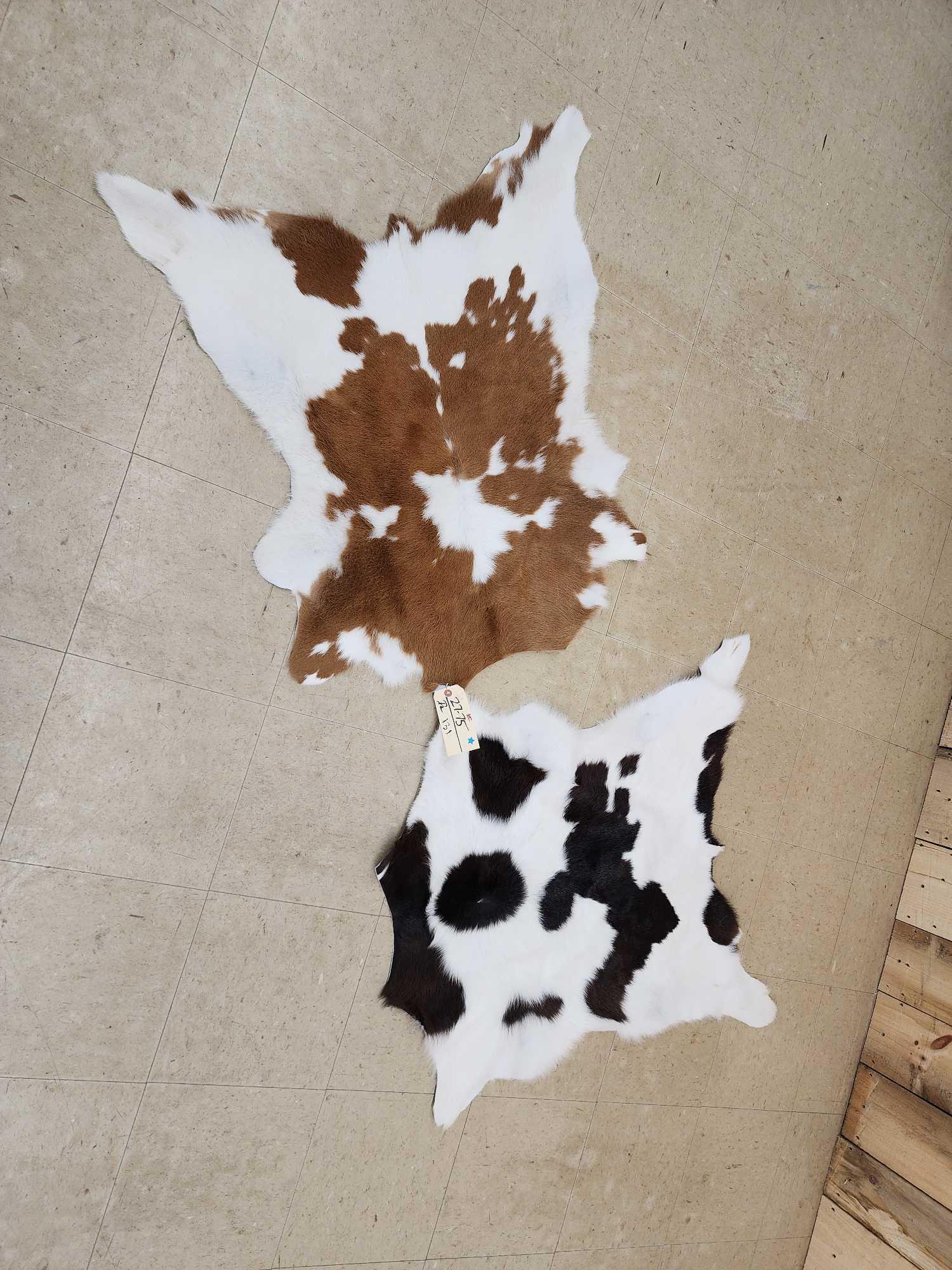 2 Tanned Goat Skins Taxidermy - Mar 16, 2023 | Circle M Auctions in IA