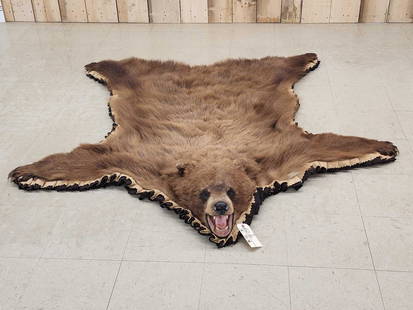 Black Bear Rug