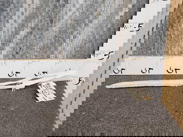 Paddlefish/ Spoonbill Catfish Taxidermy Mount