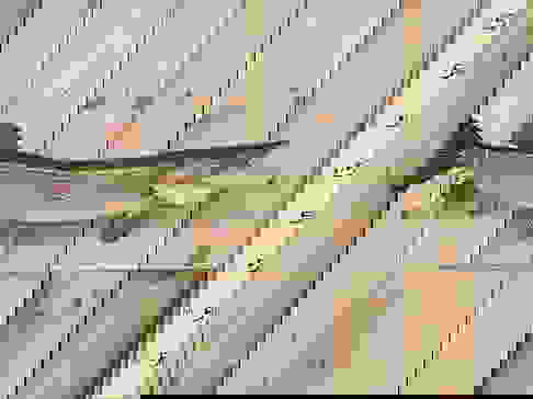 40" Northern Pike Real Skin Fish Taxidermy Auction