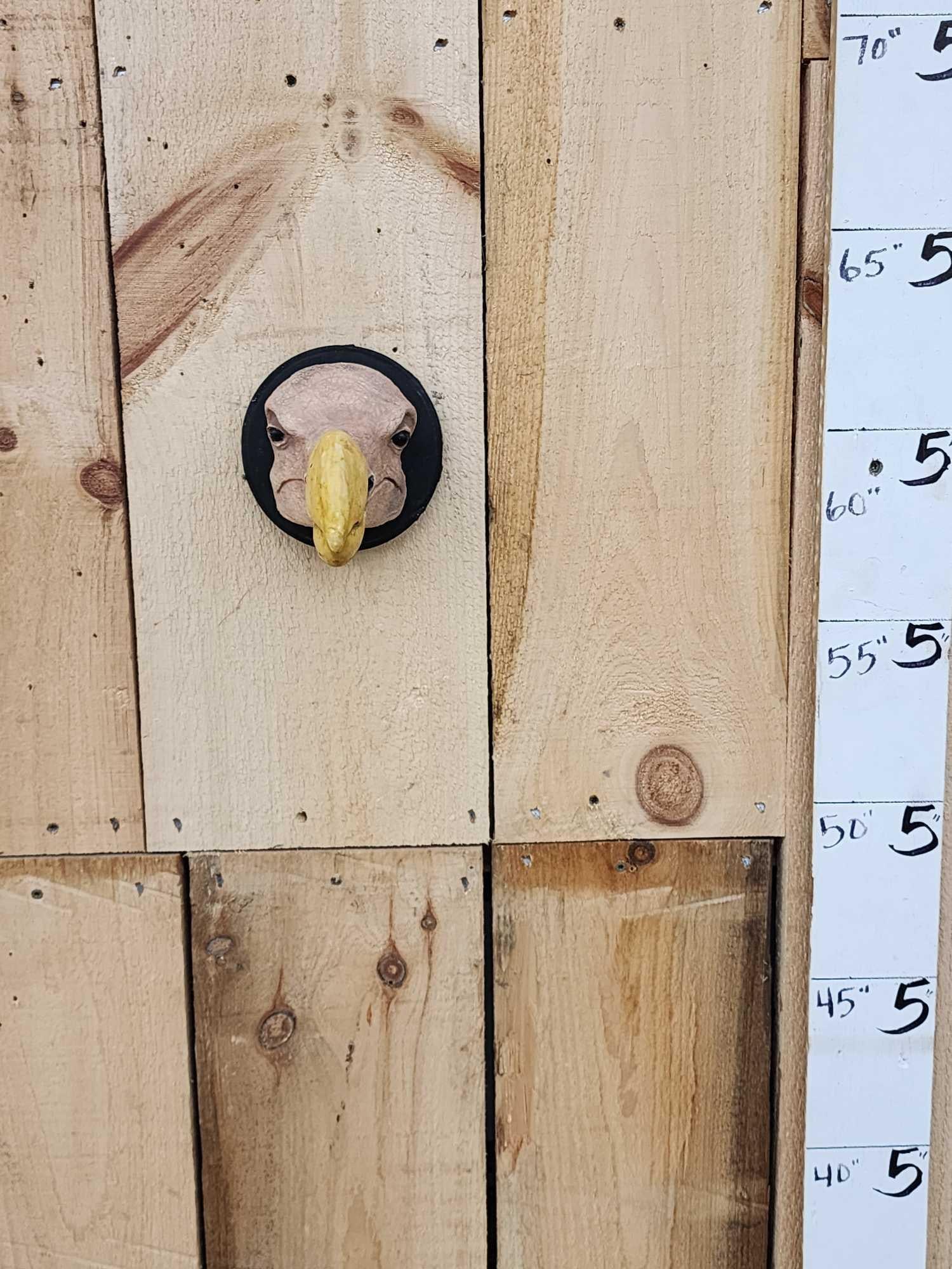 Reproduction Dodo Bird Head Taxidermy Auction