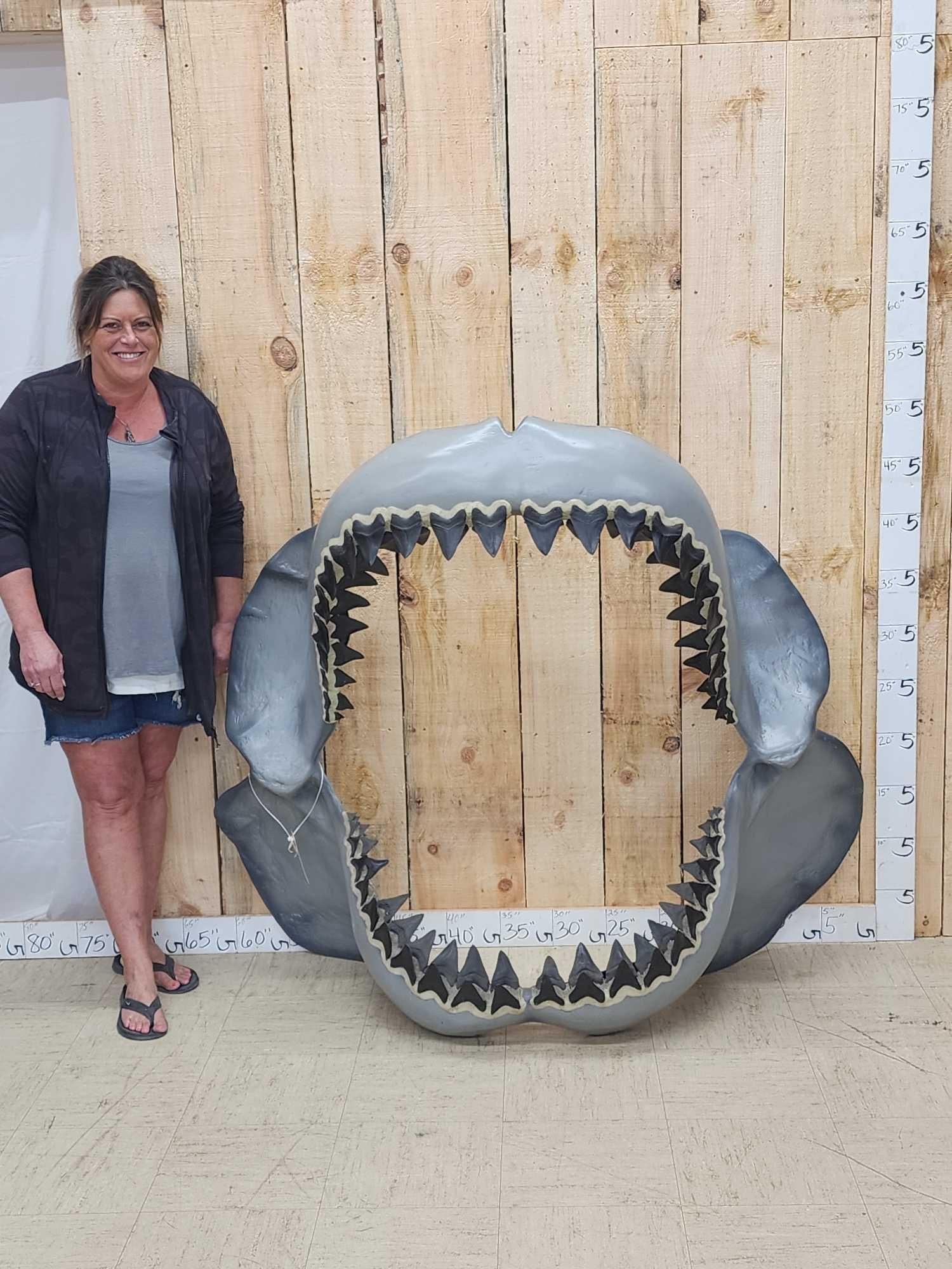 One Third Scale Reproduction Megalodon Jaw Taxidermy Auction