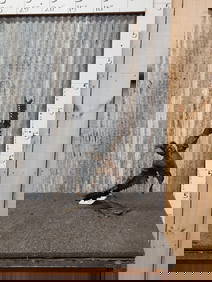 Vam Rexio Model Rc3 22 M S .22 Mag Pistol